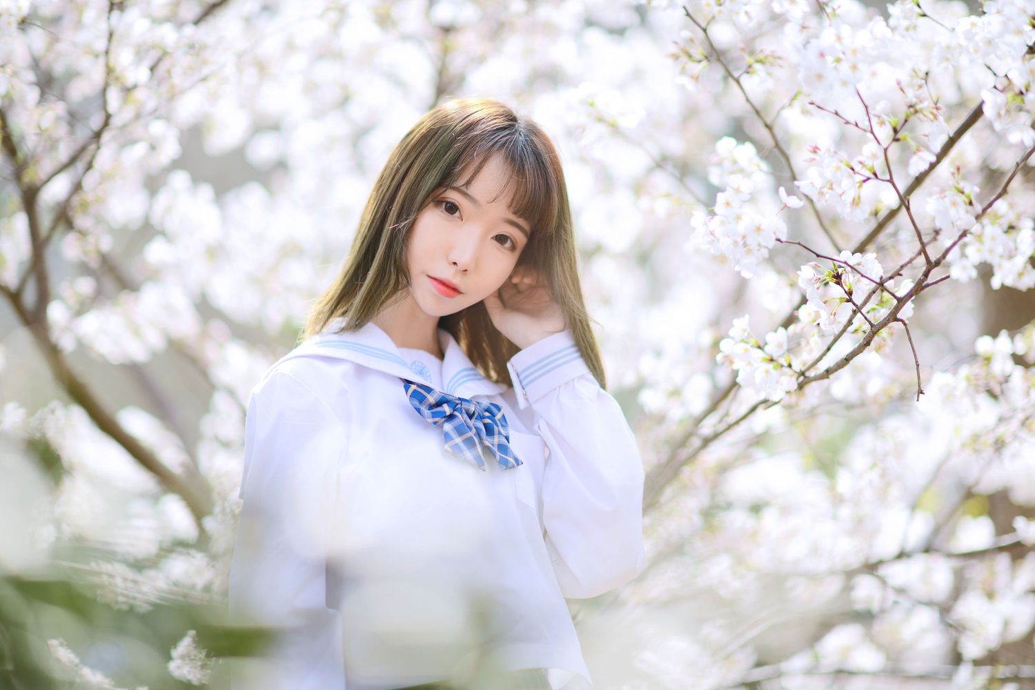 No.009-樱花树下 [41P]-图妖社